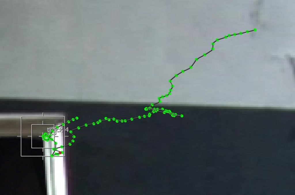 2D Tracking – Fondamenti – Luca Orlandi – Lecturer in Mutimedia Design and Director of ...